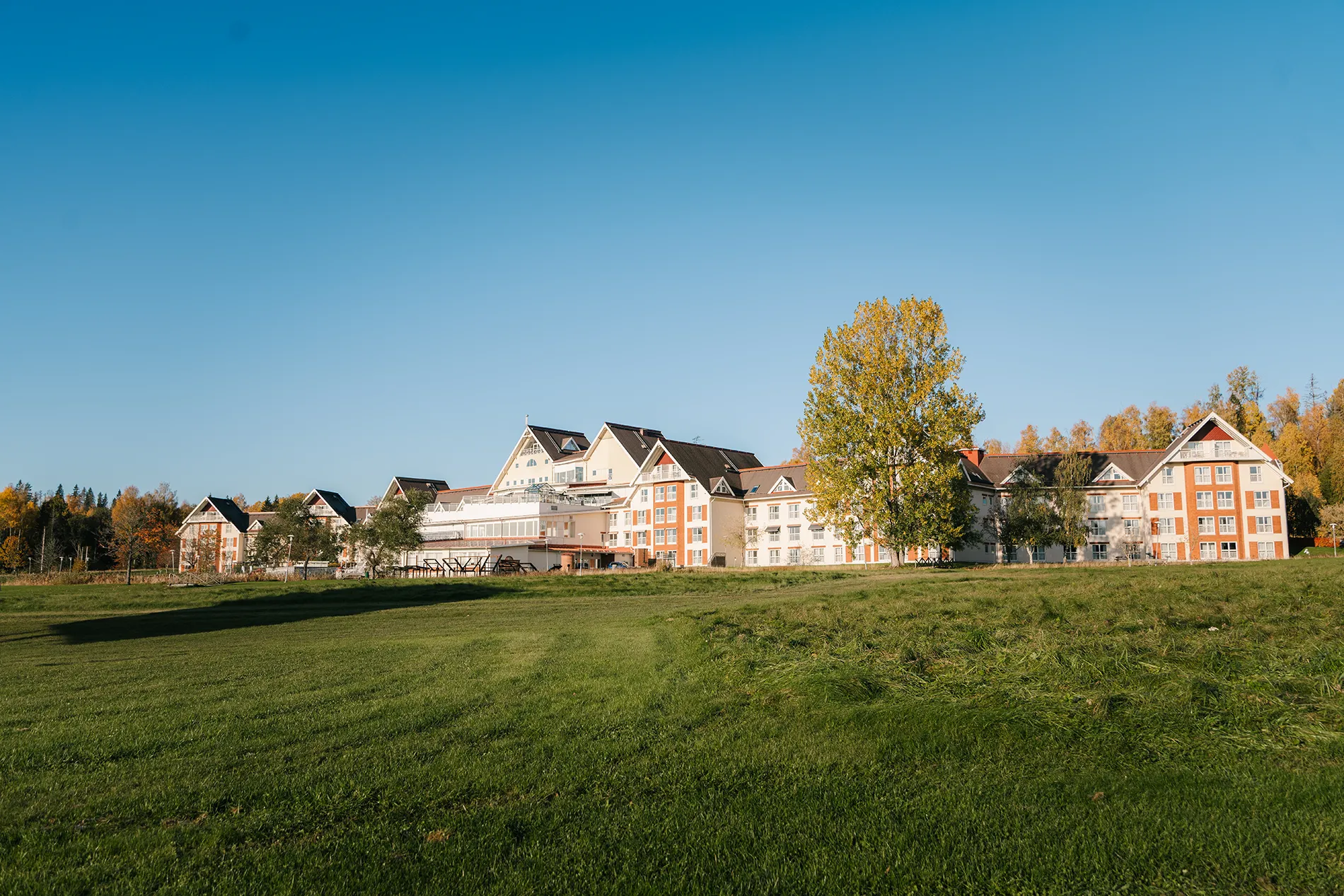 Kontakta oss - Selma Spa